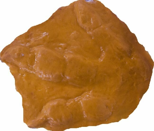 Fossil - Raptor Print | Walttools