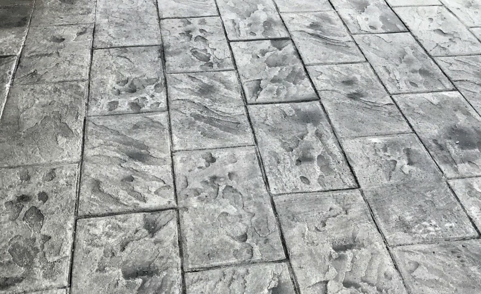 Buy Concrete Stamps | Contractor Source Concrete Stamps